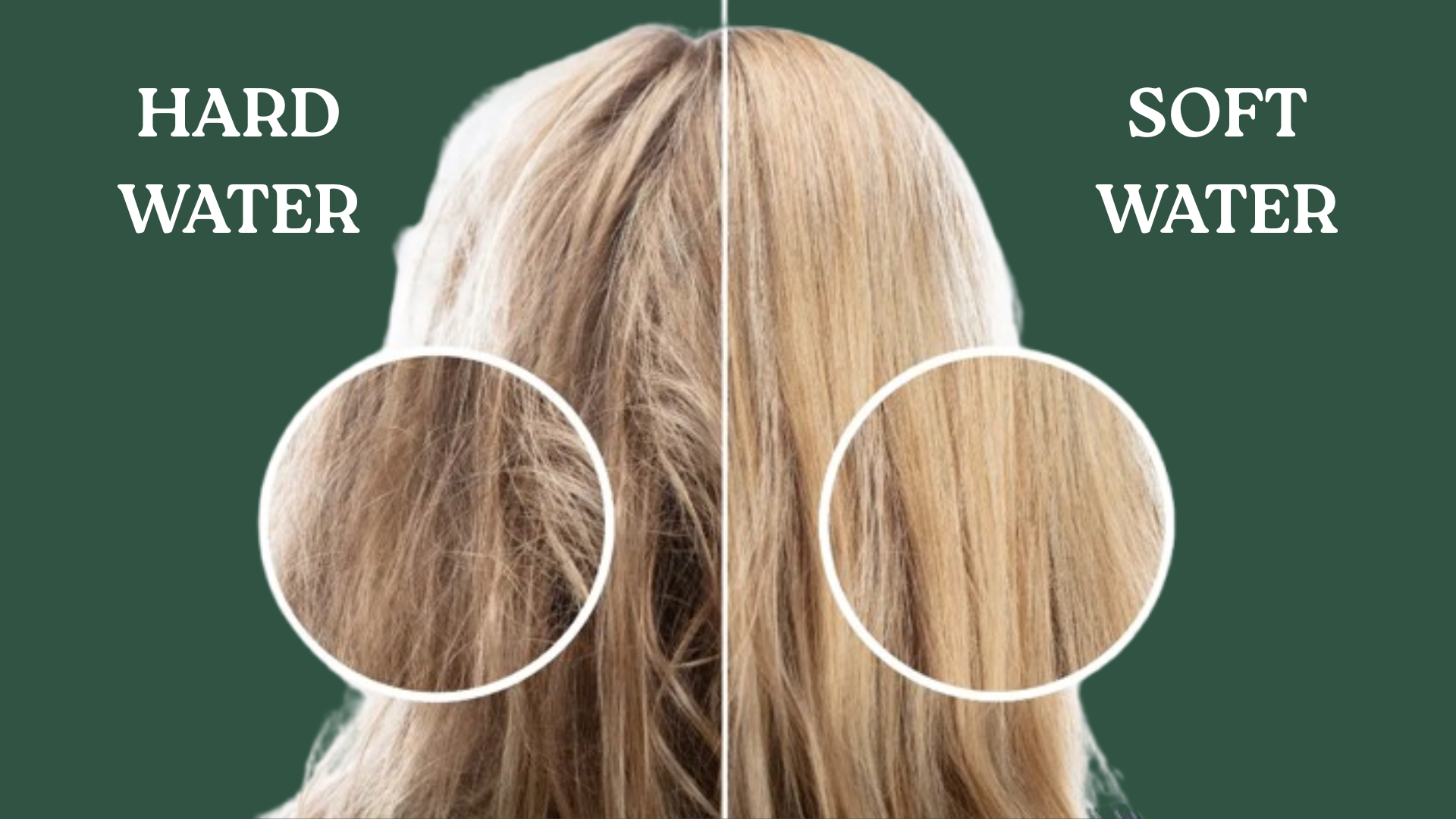 Hair Fall Due to Hard Water | Causes, Symptoms & Care – Nature's Nest